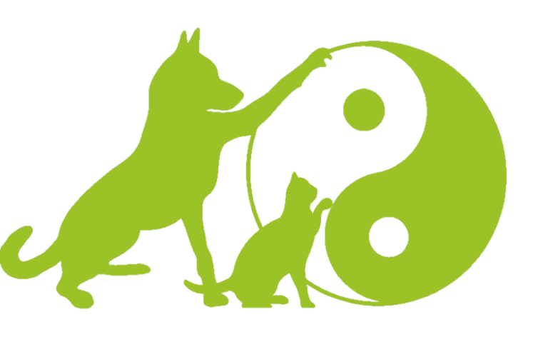 Traditionelle Chinesische Tiermedzin Ausbildung (TCVM)